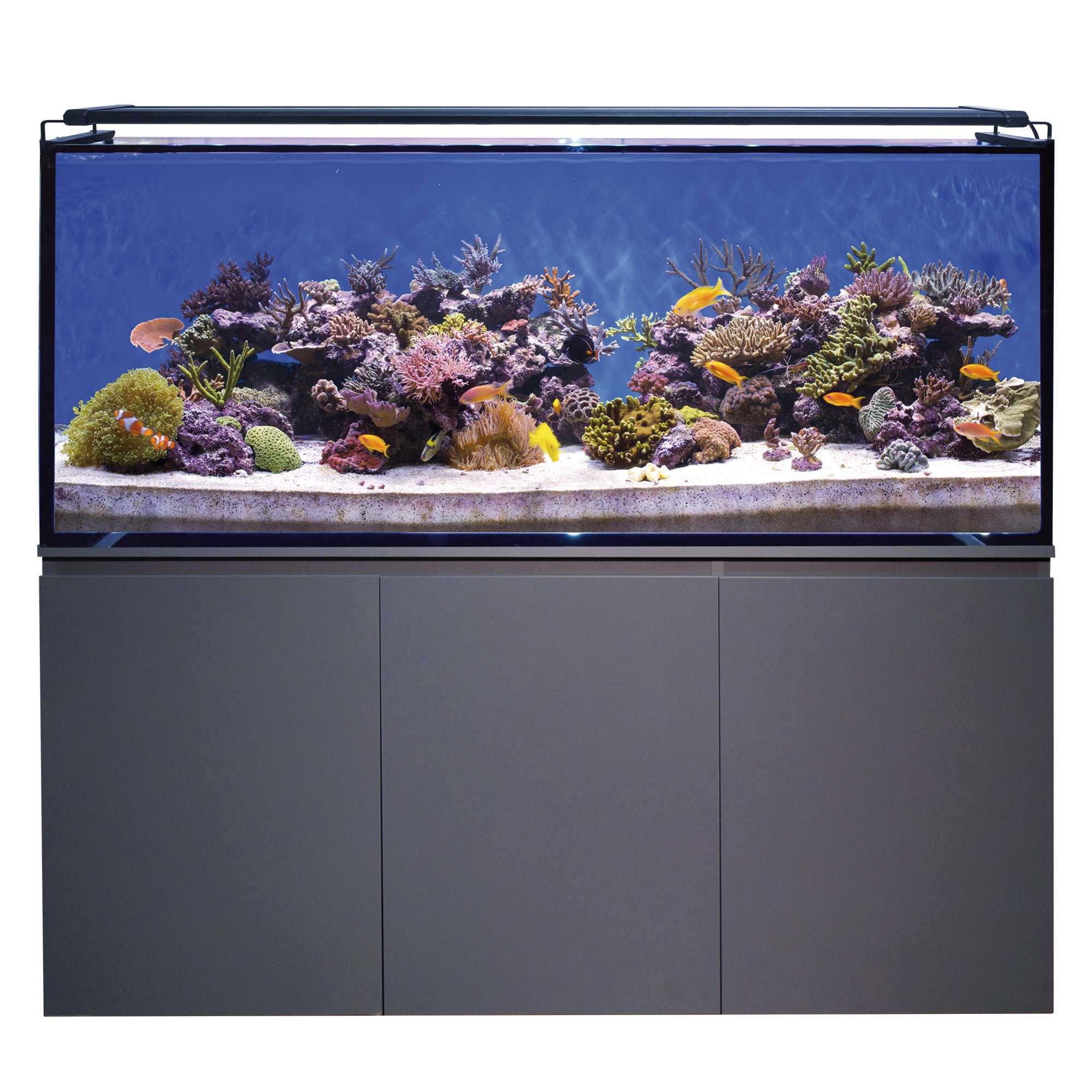 Acuario marino con Sump AQUA OCEAN 150 (415 l) — ICA S.A.