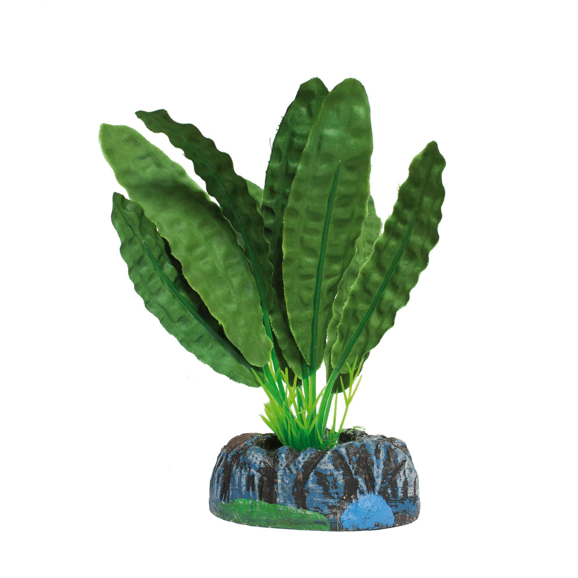 Aponogeton de AQUATIC PLANTS (SEDA) — ICA S.A.