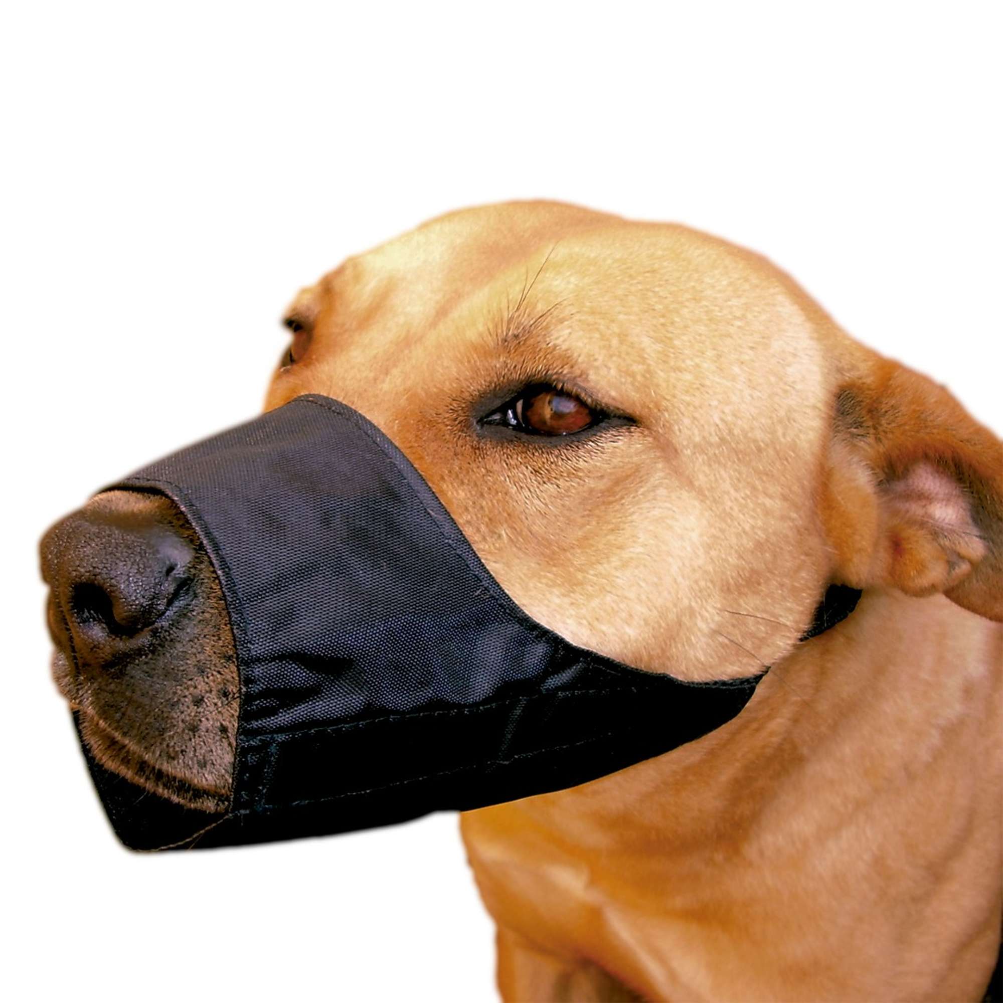 Bozal de nylon — ICA S.A.