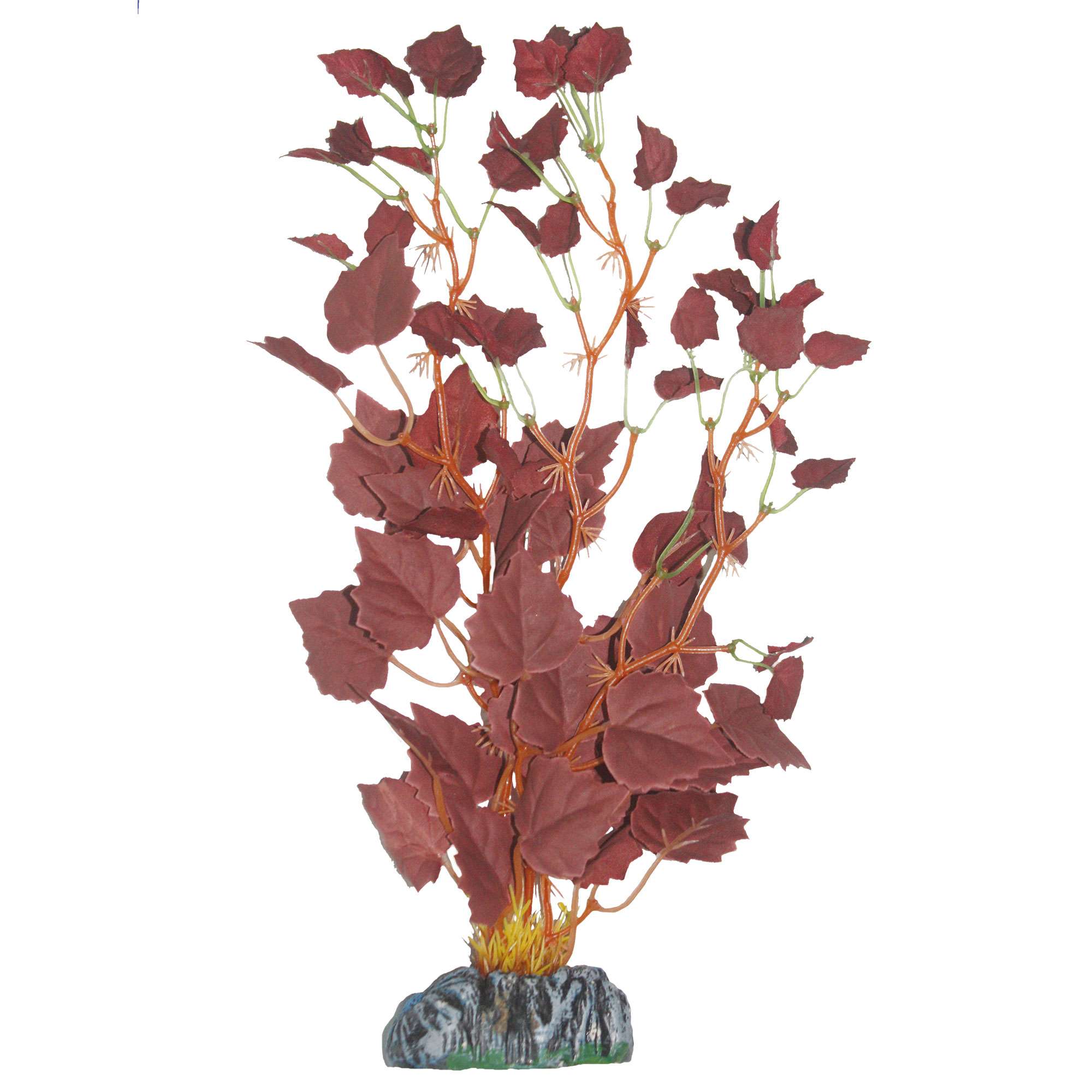 Hygrofila de AQUATIC PLANTS (SEDA) — ICA S.A.