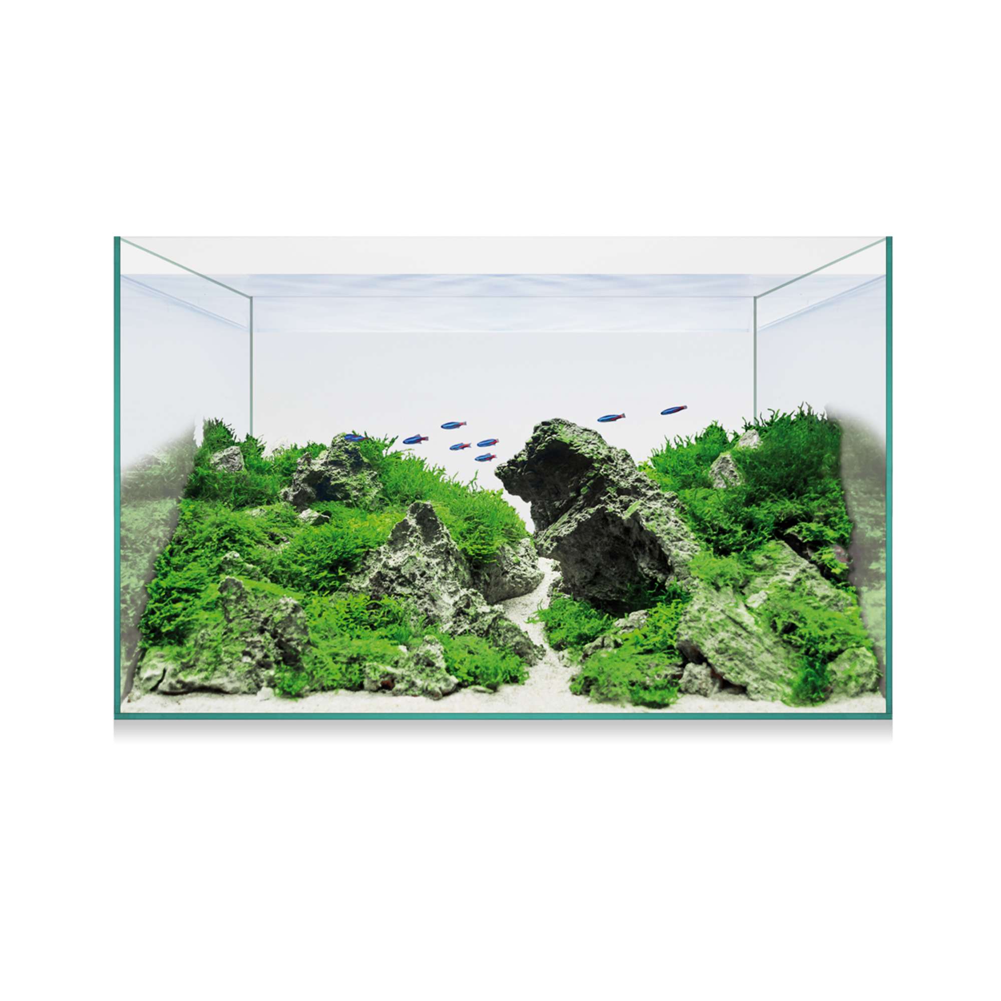 Kit AQUASCAPE BASIC 14 (12.7 l) — ICA S.A.