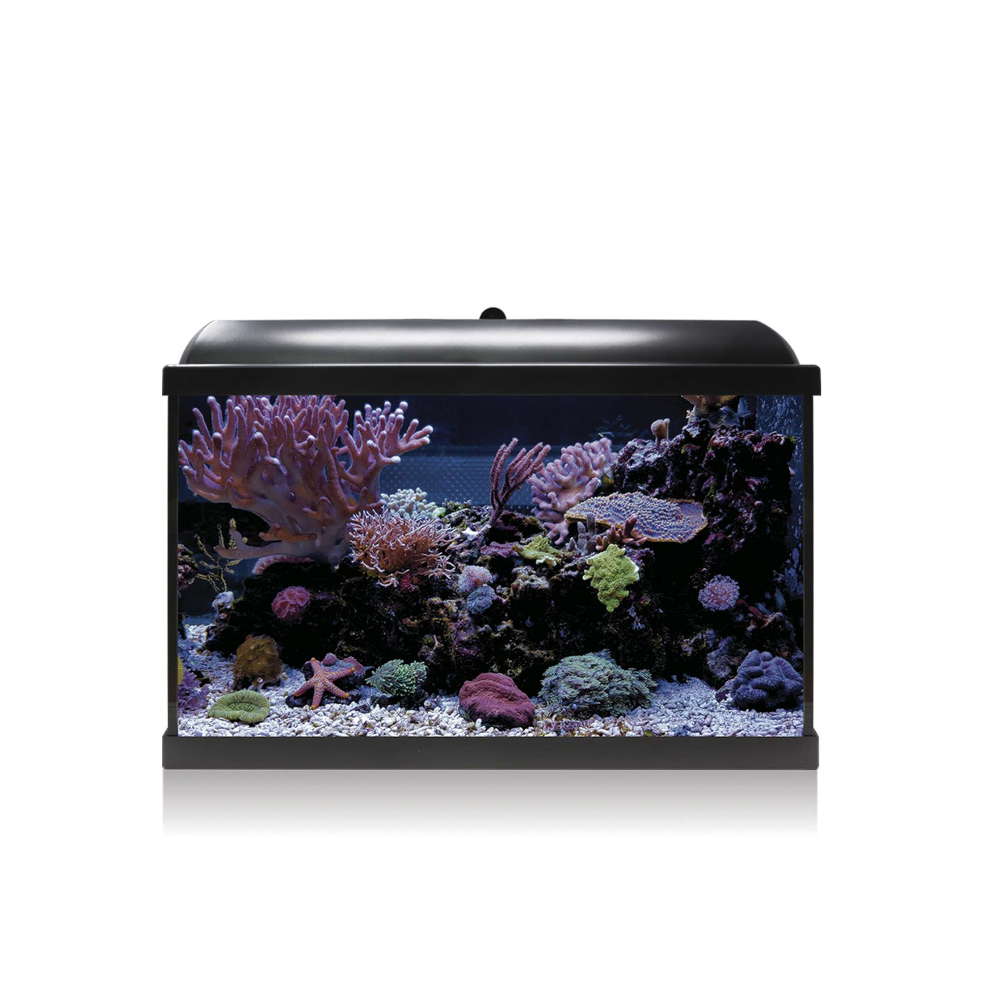 Kit Hydra 68 para agua salada (68 l) — ICA S.A.