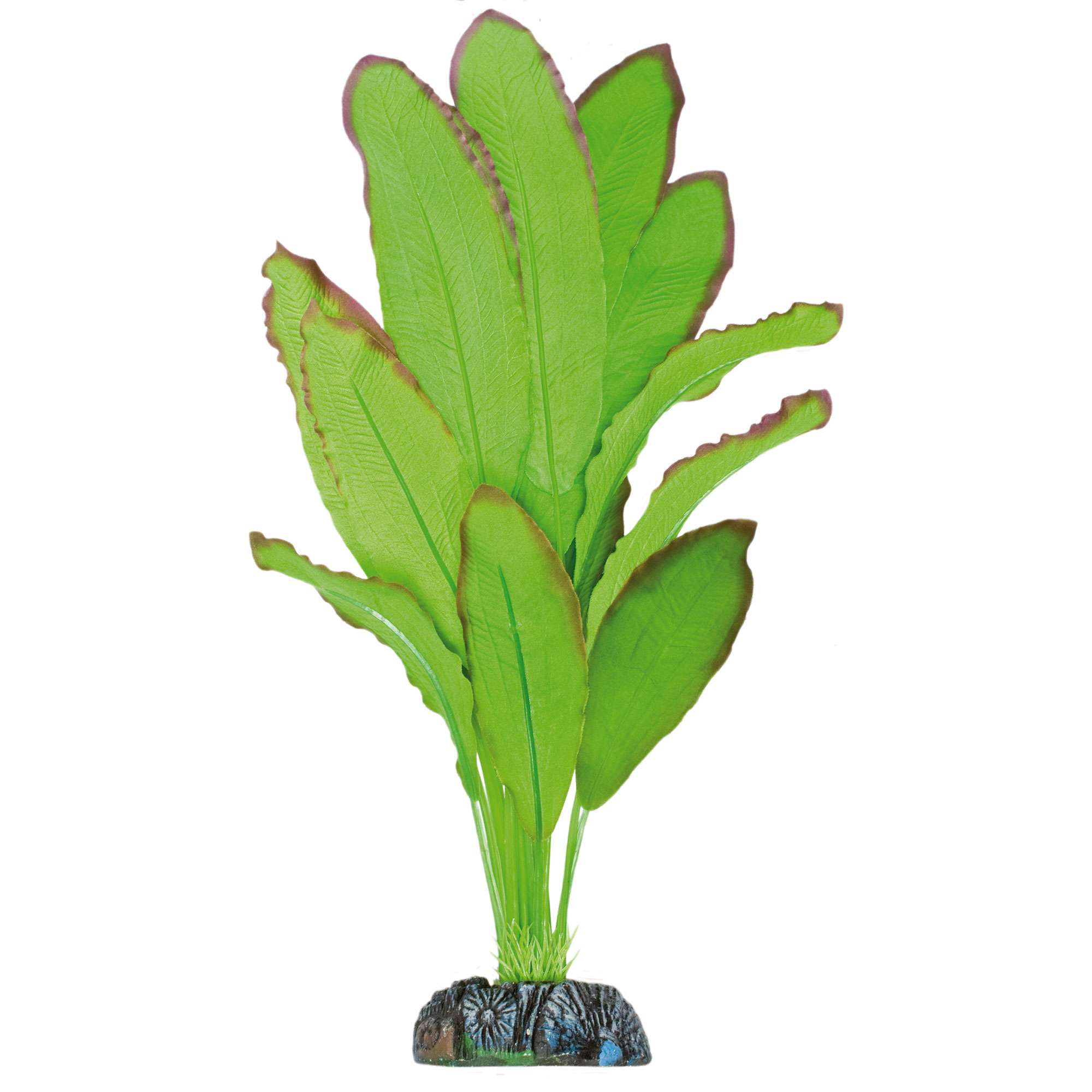 Planta de seda Echinodorus spidemet (39 cm) — ICA S.A.
