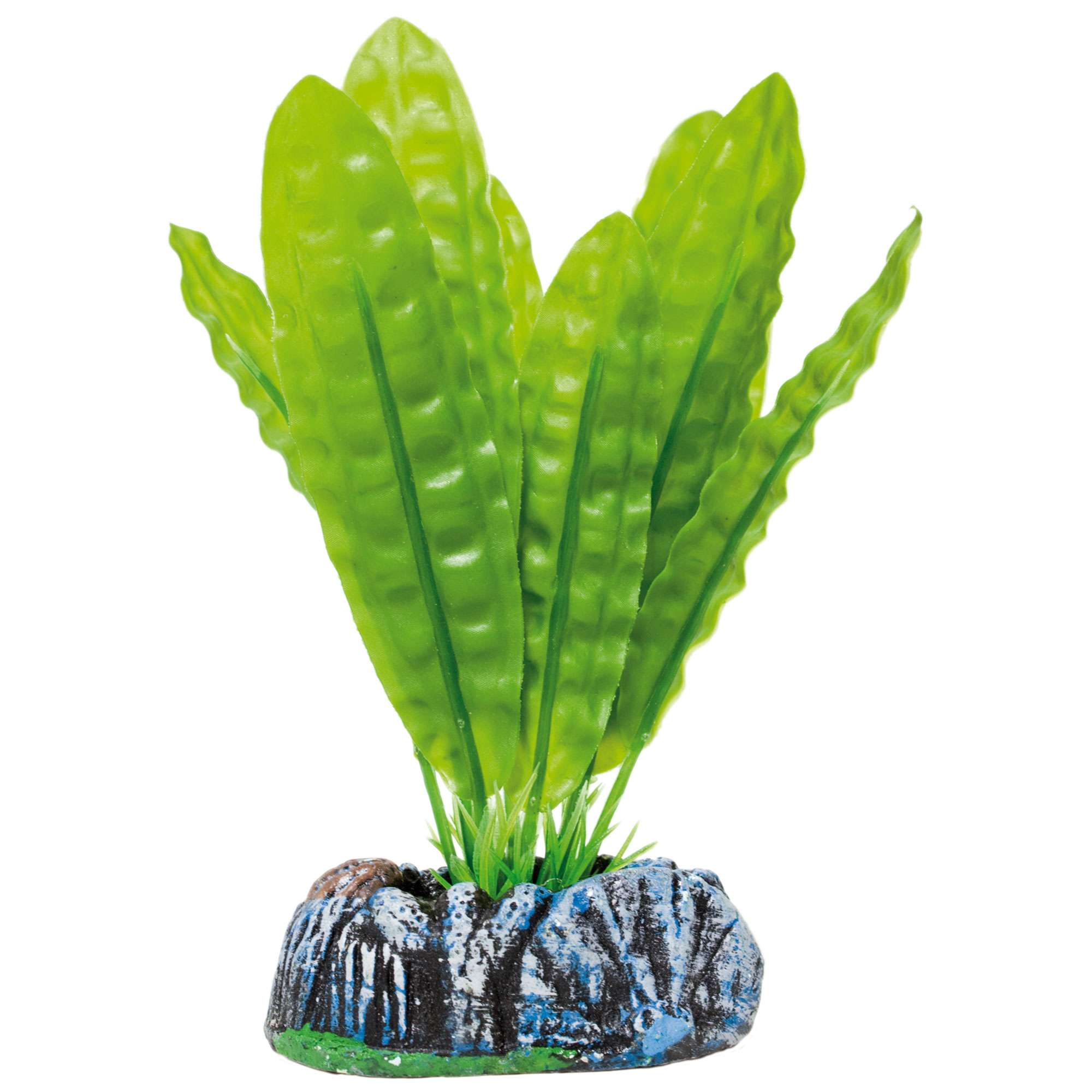 Aponogeton boivinianus de AQUATIC PLANTS (PLÁSTICO) (11 cm) — ICA S.A.