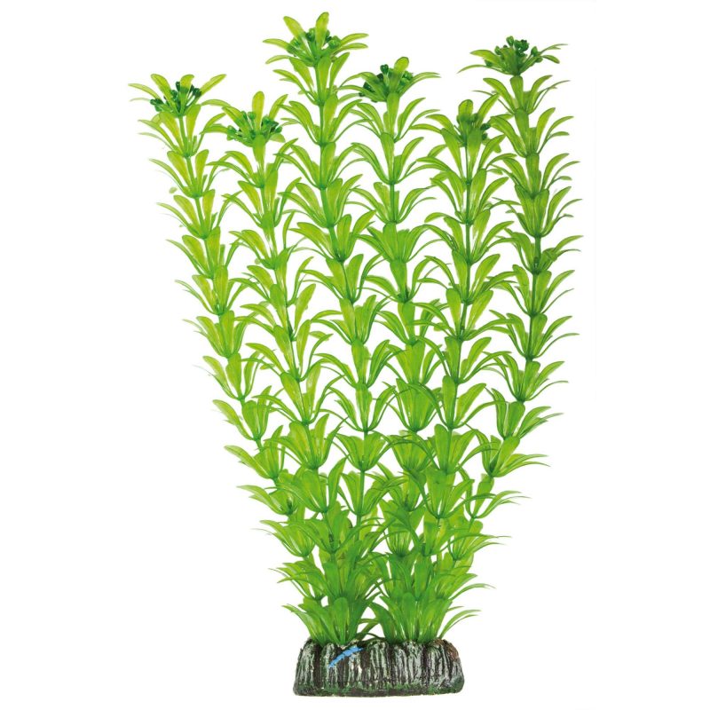Elodea de AQUATIC PLANTS (PLÁSTICO) (29 cm) — ICA S.A.
