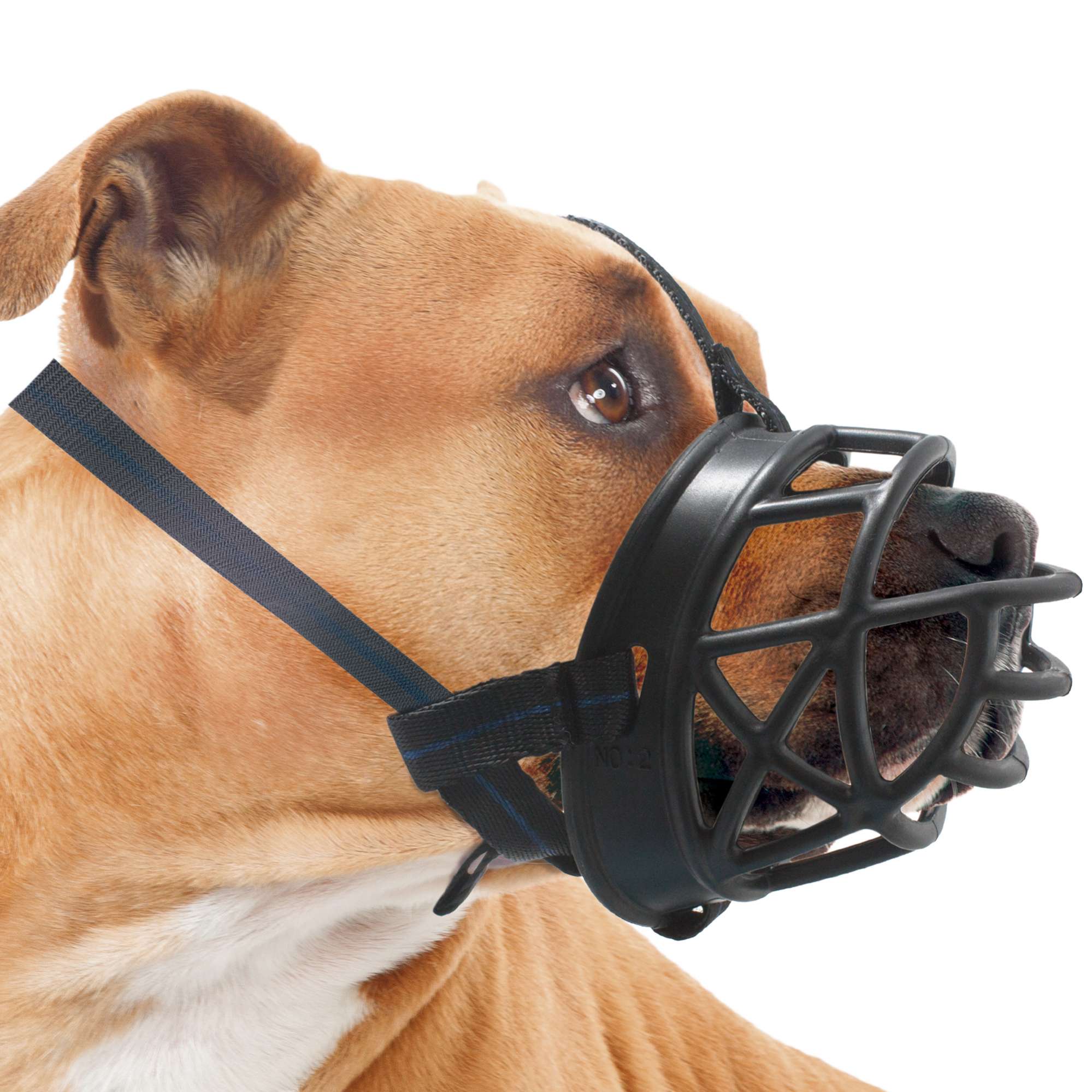 Bozal Basket de XT-DOG — ICA S.A.