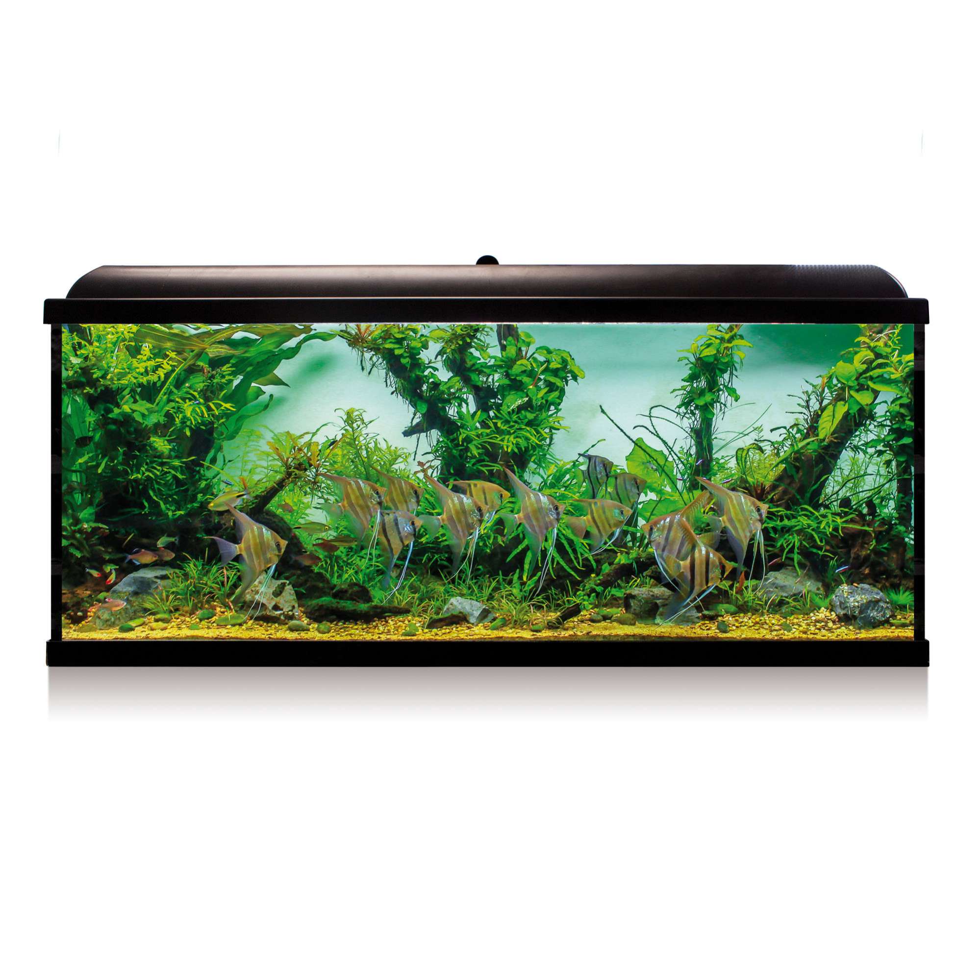 Kit AQUA LED RGB 300 (300 l) — ICA S.A.