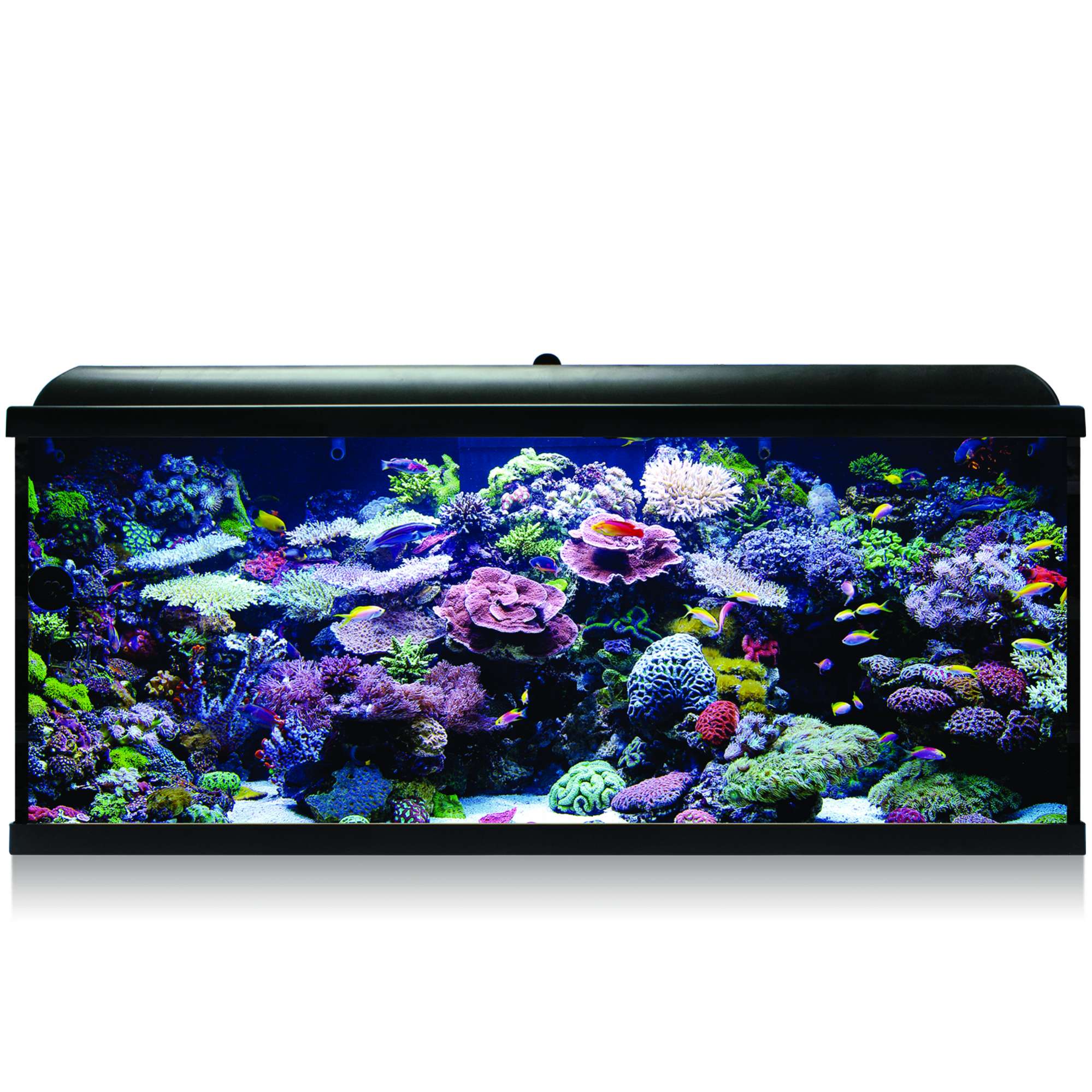 Kit Hydra 240 para agua salada (240 l) — ICA S.A.