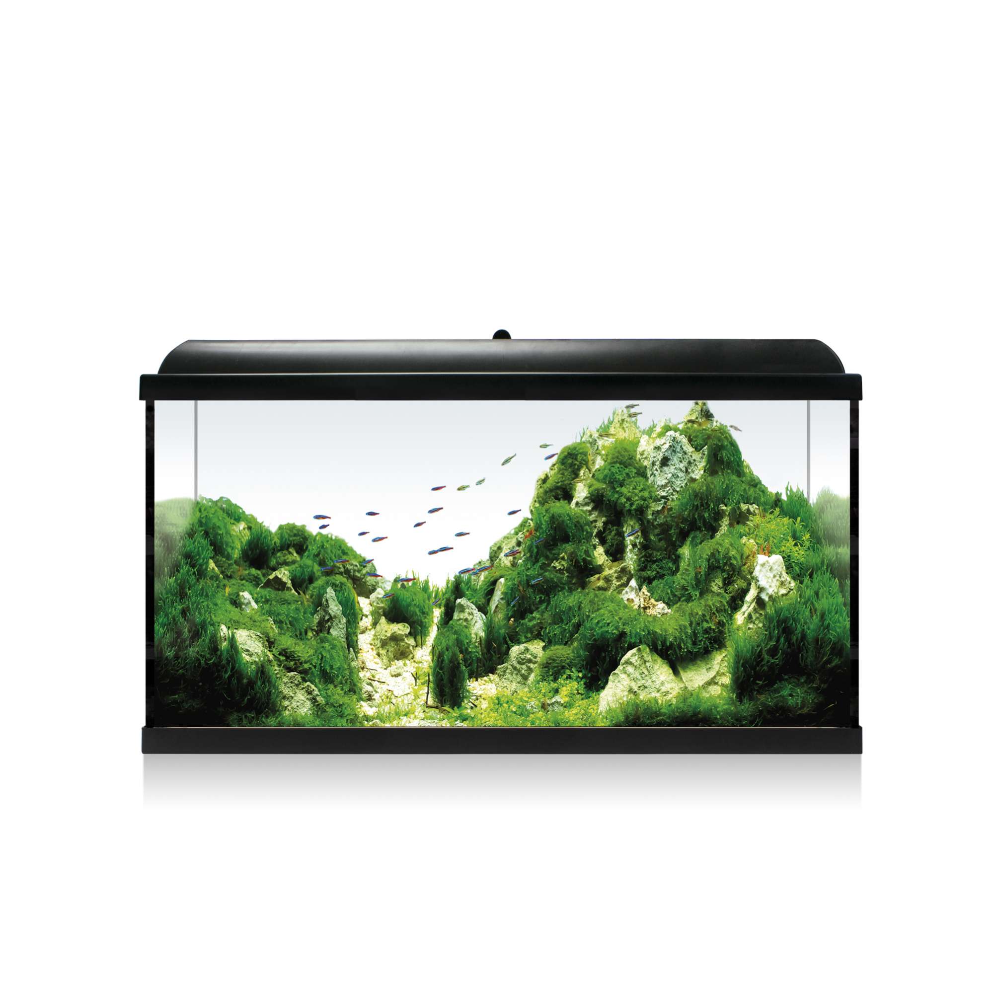 Kit AQUA LED RGB 100 (86 l) — ICA S.A.