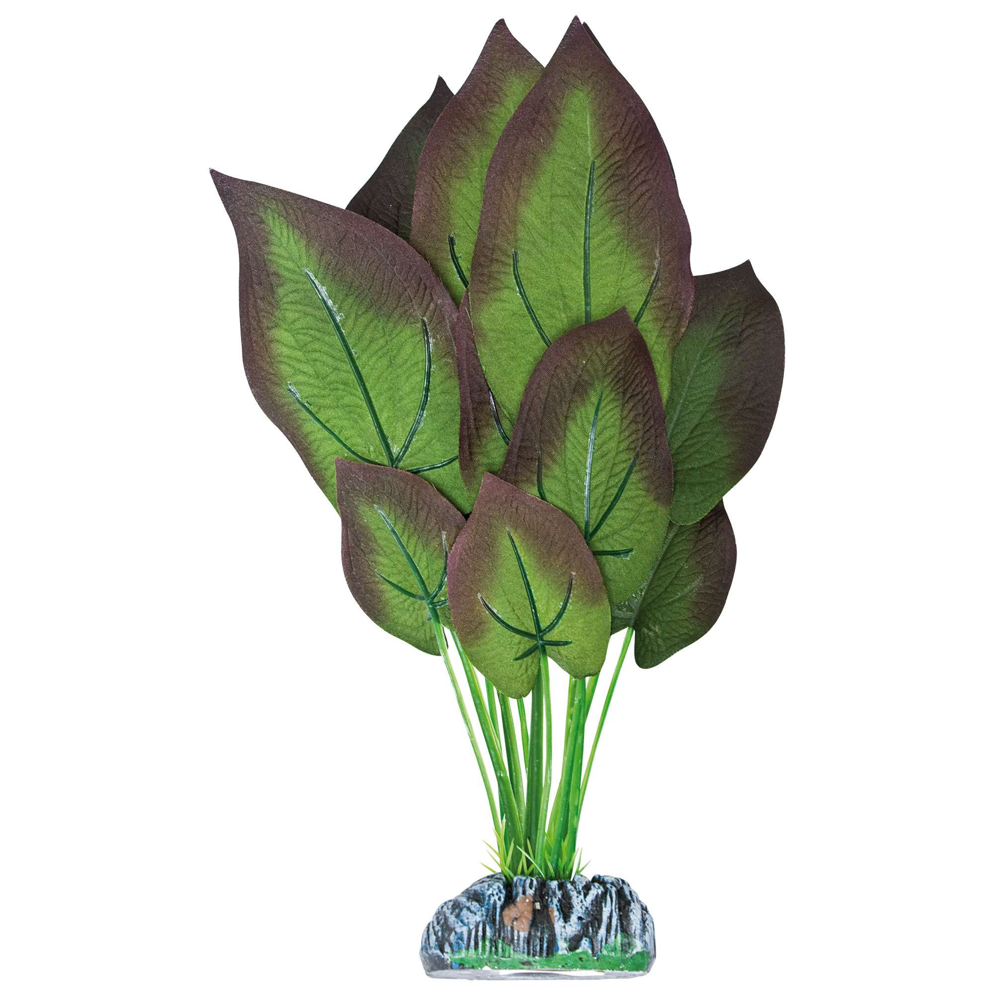 Ninfa de AQUATIC PLANTS (SEDA) — ICA S.A.