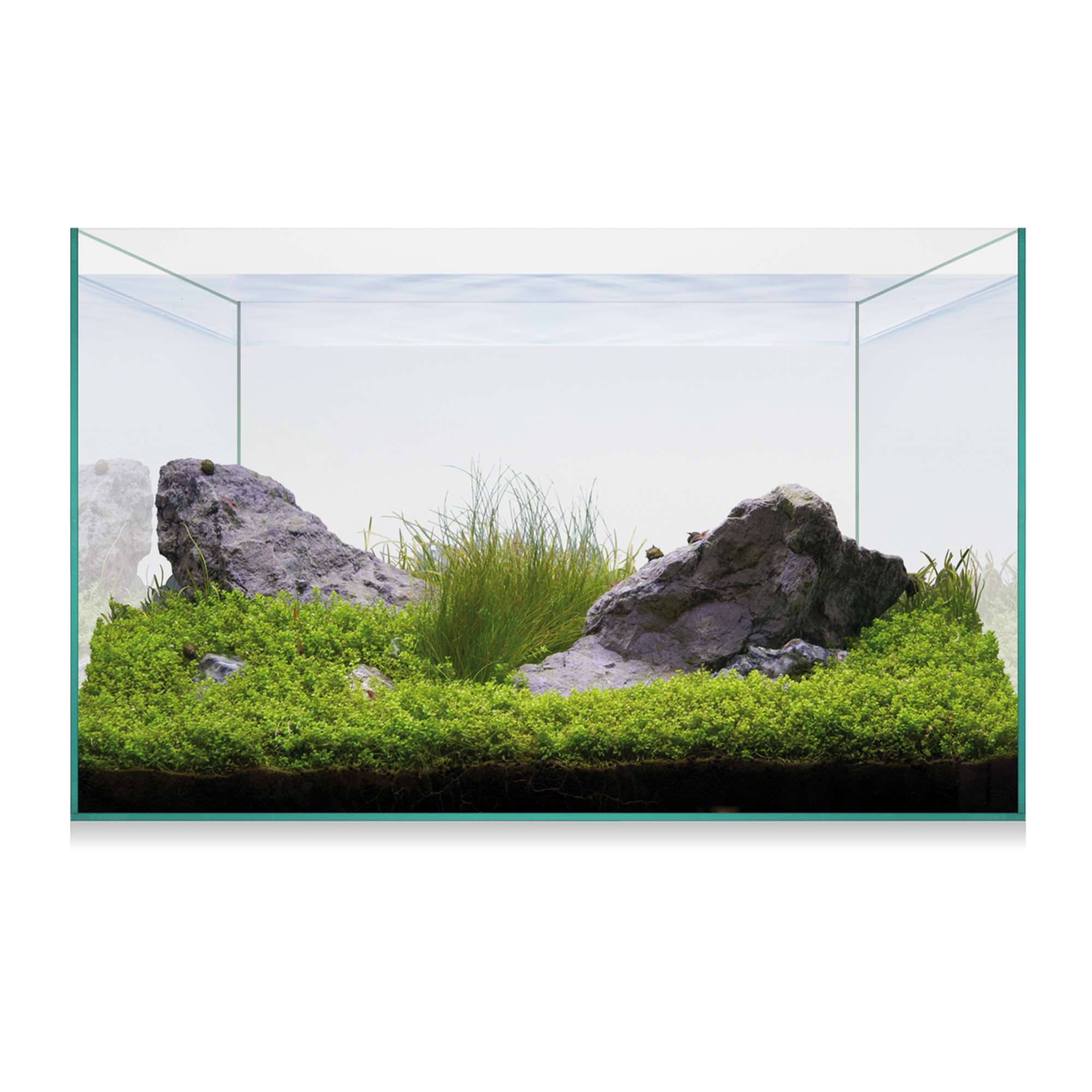 Kit AQUASCAPE BASIC 38 (34.4 l) — ICA S.A.