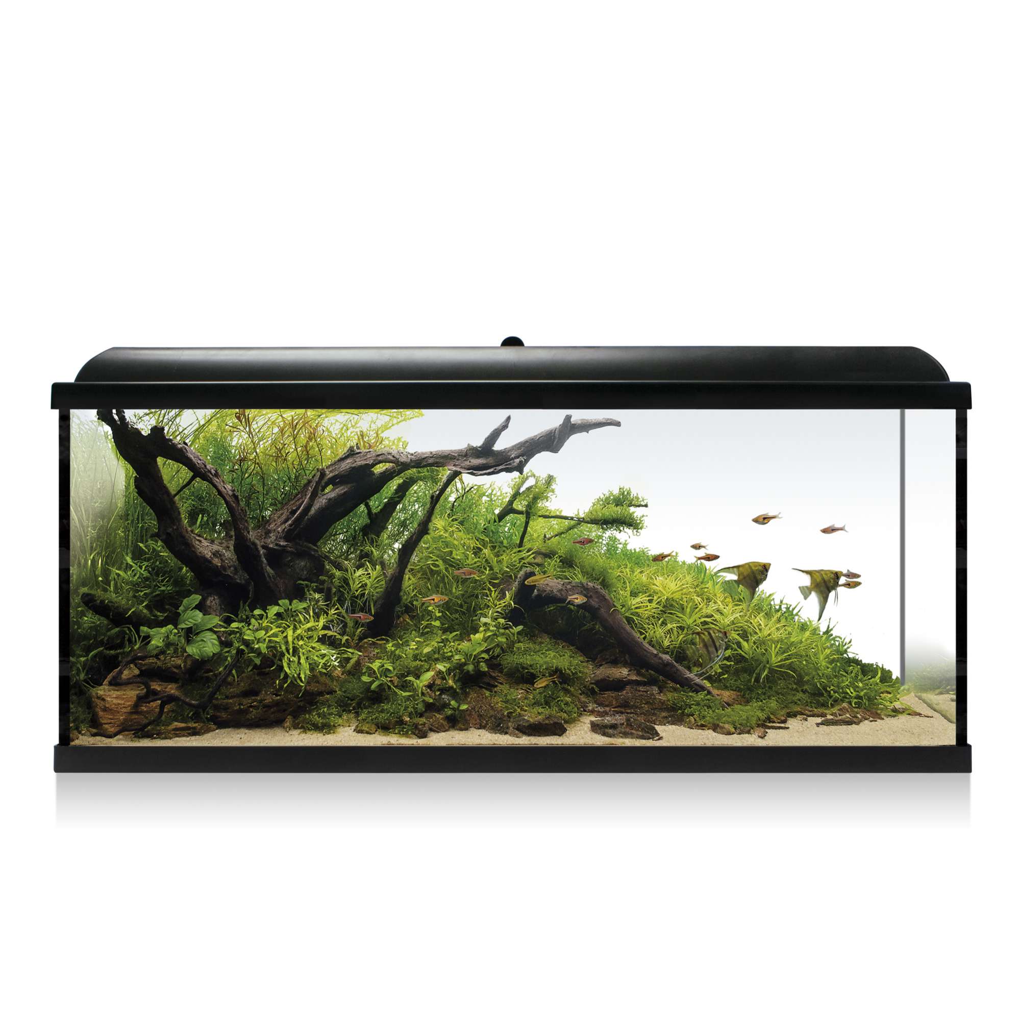 Kit AQUA LED RGB 130 (110 l) — ICA S.A.