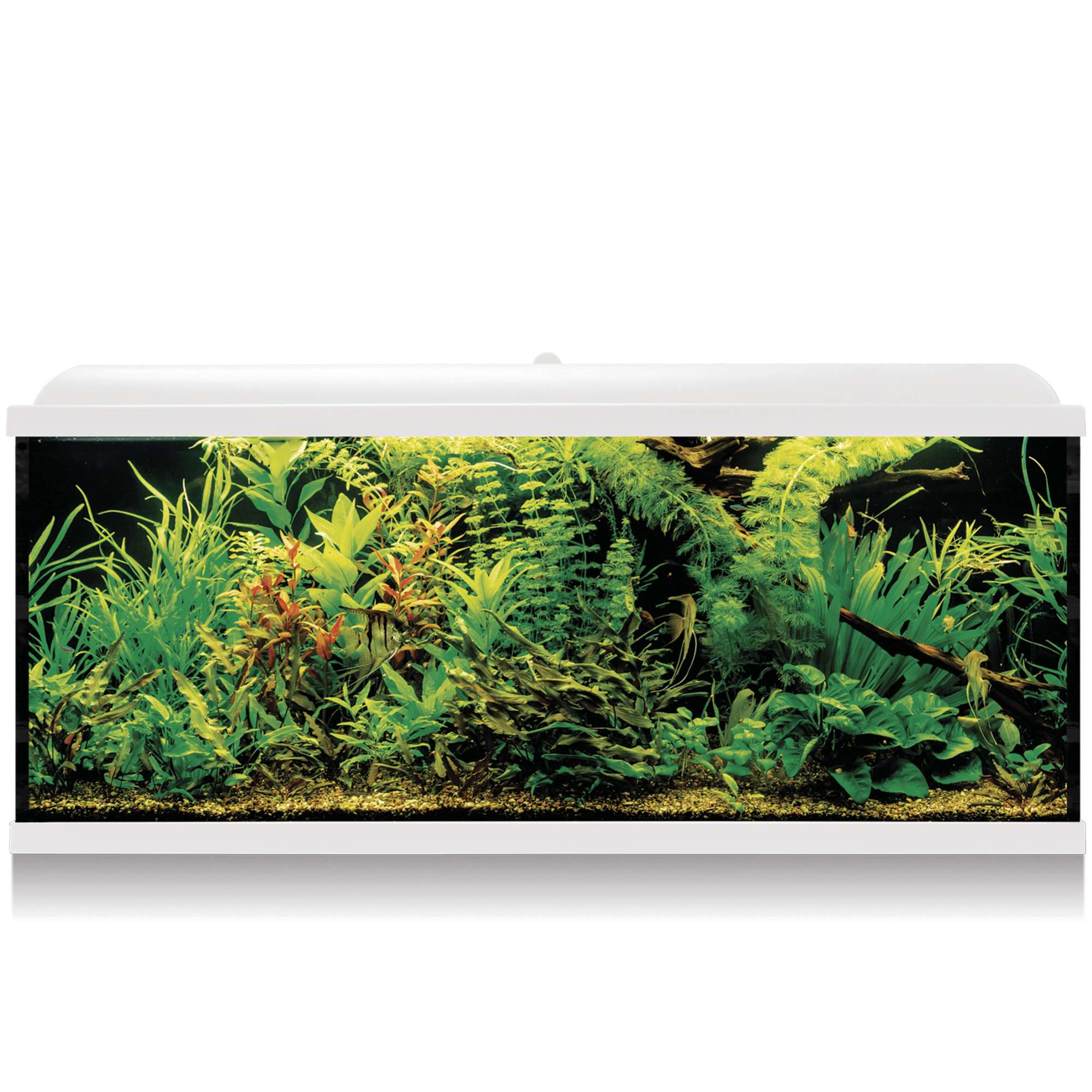 Kit AQUA LED PRO 240 con filtro exterior (240 l) — ICA S.A.
