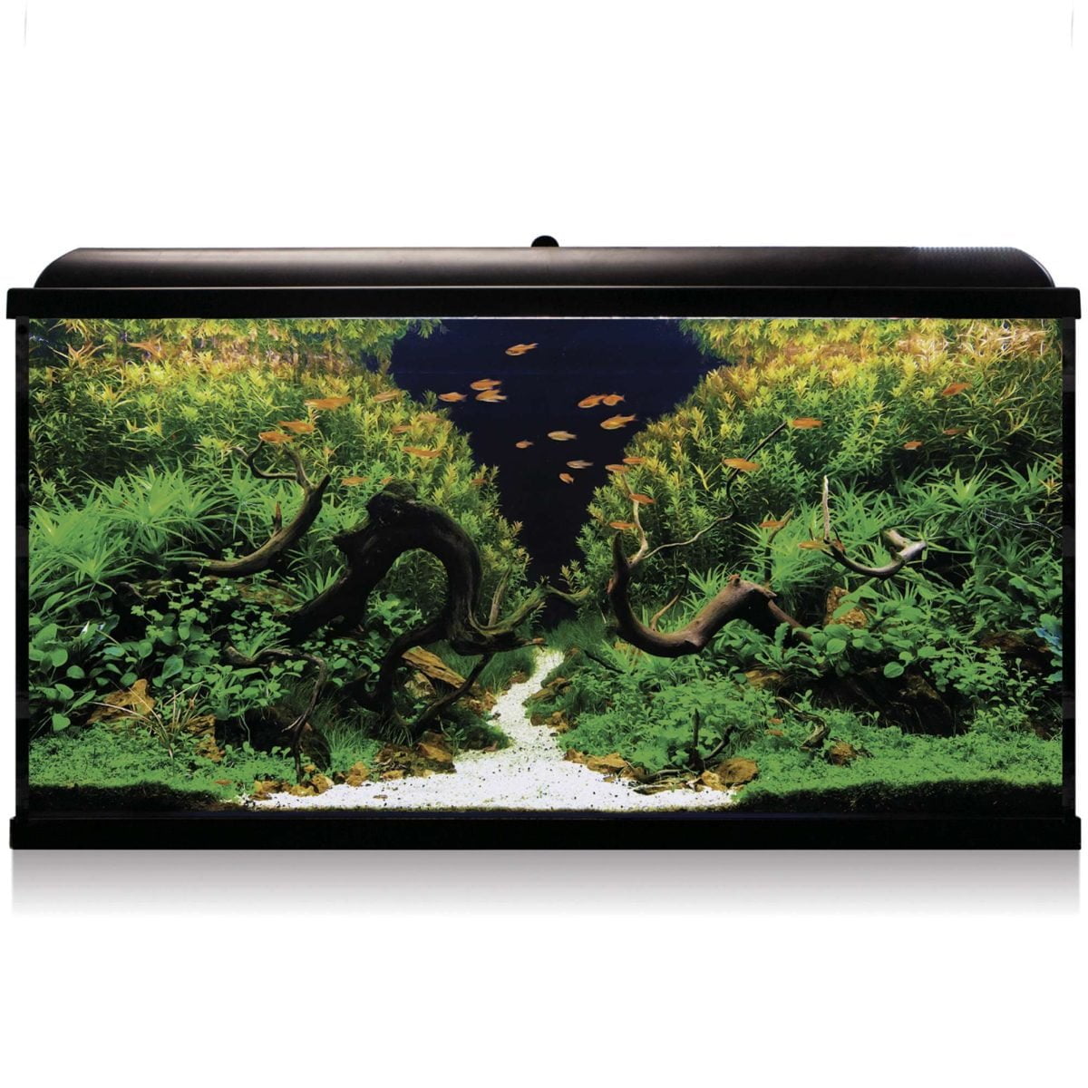 Kit AQUA LED PRO 300 con filtro exterior (300 l) — ICA S.A.