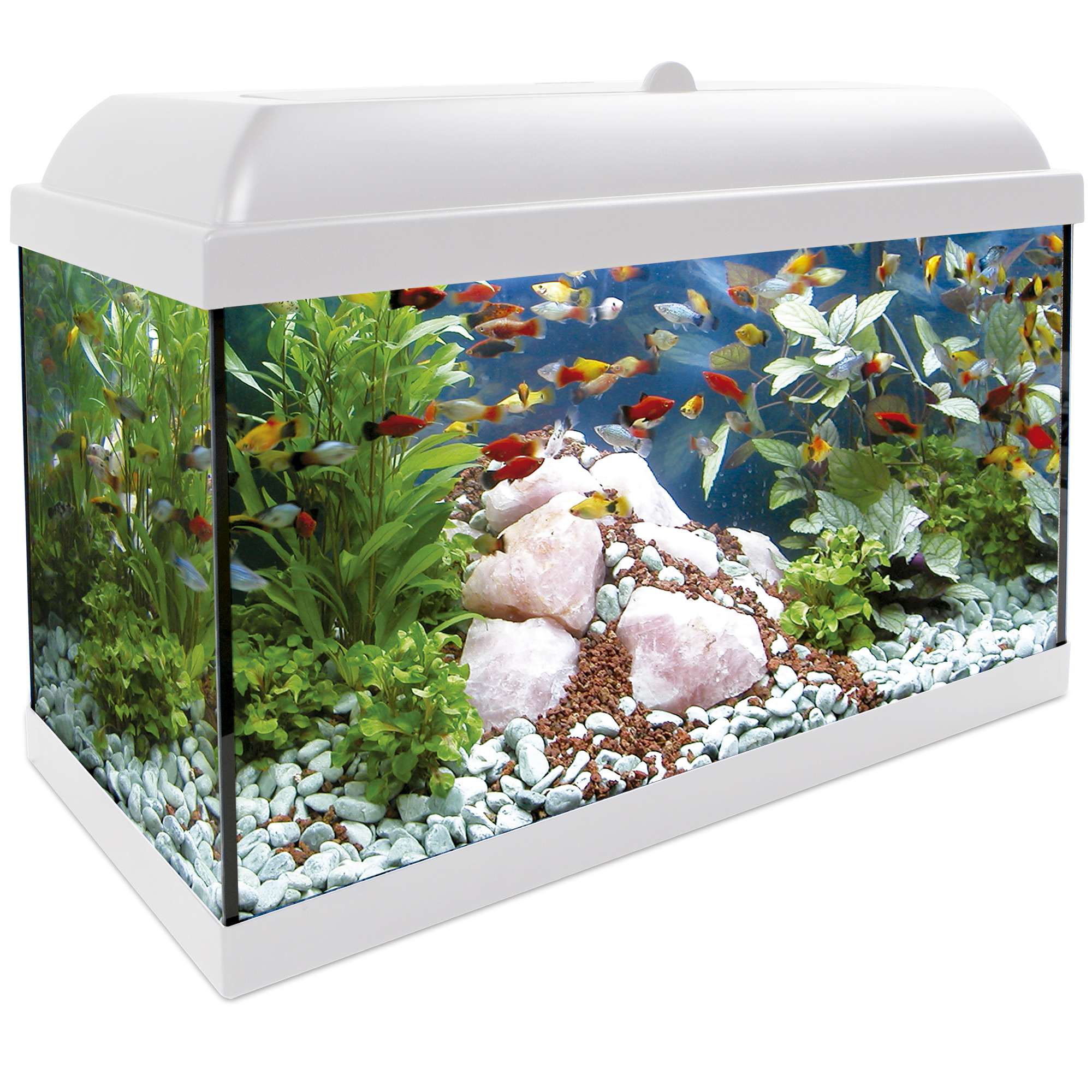 Kit Hydra 80 para agua dulce (80 l) — ICA S.A.