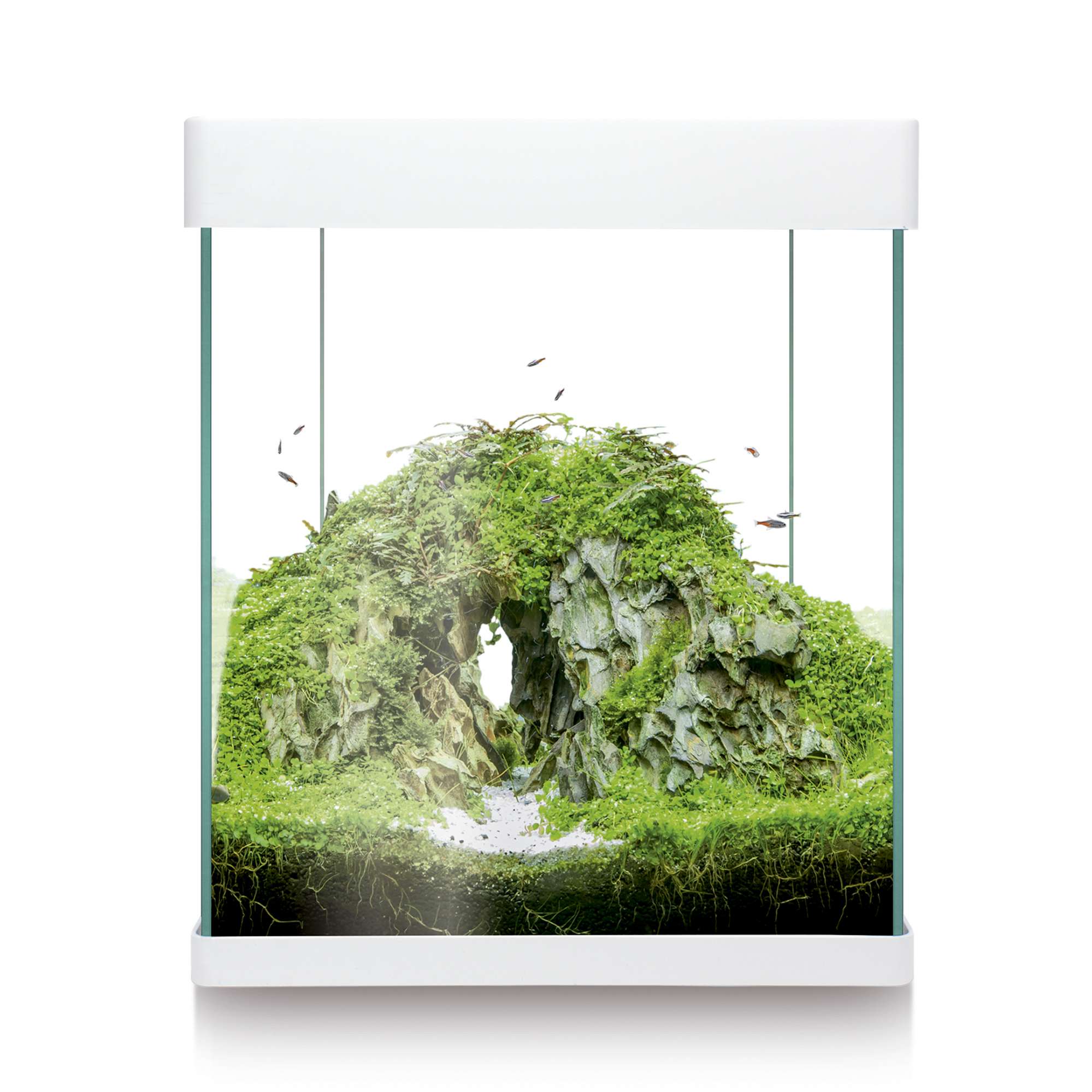 Kit NANO AQUA LED RGB 20 (18 l) — ICA S.A.