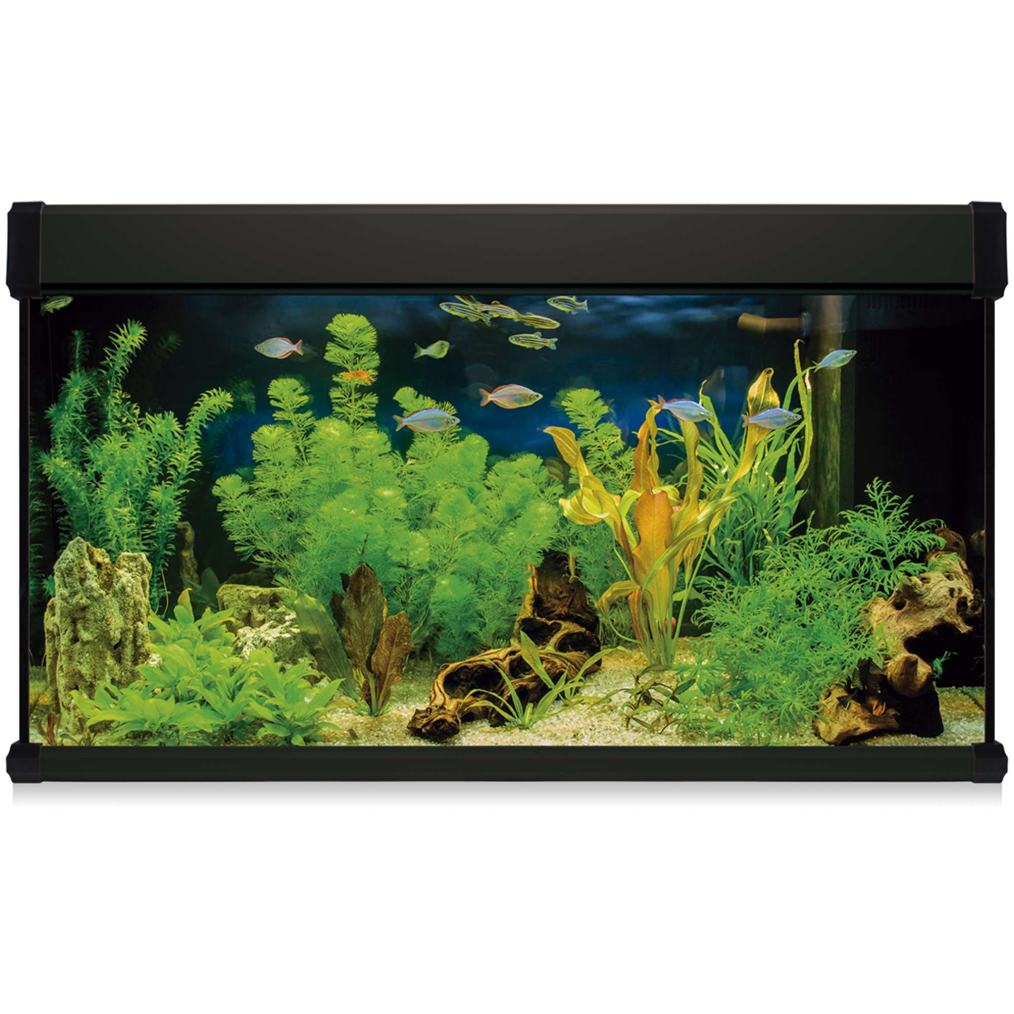 Aqua Ocean Sump PRO — ICA S.A.