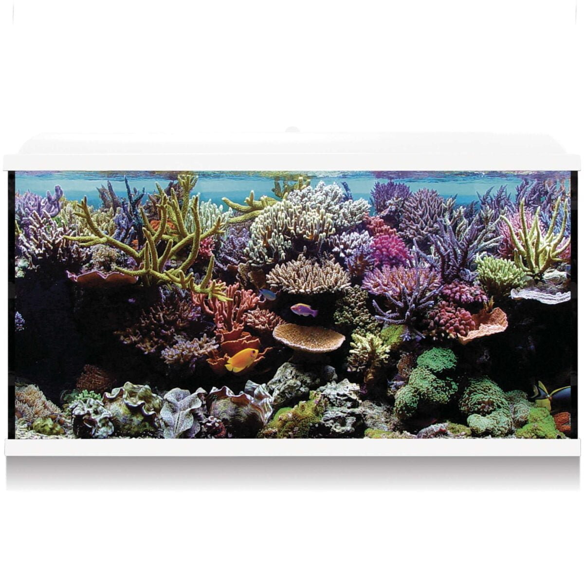 Kit Hydra 300 para agua salada (300 l) — ICA S.A.