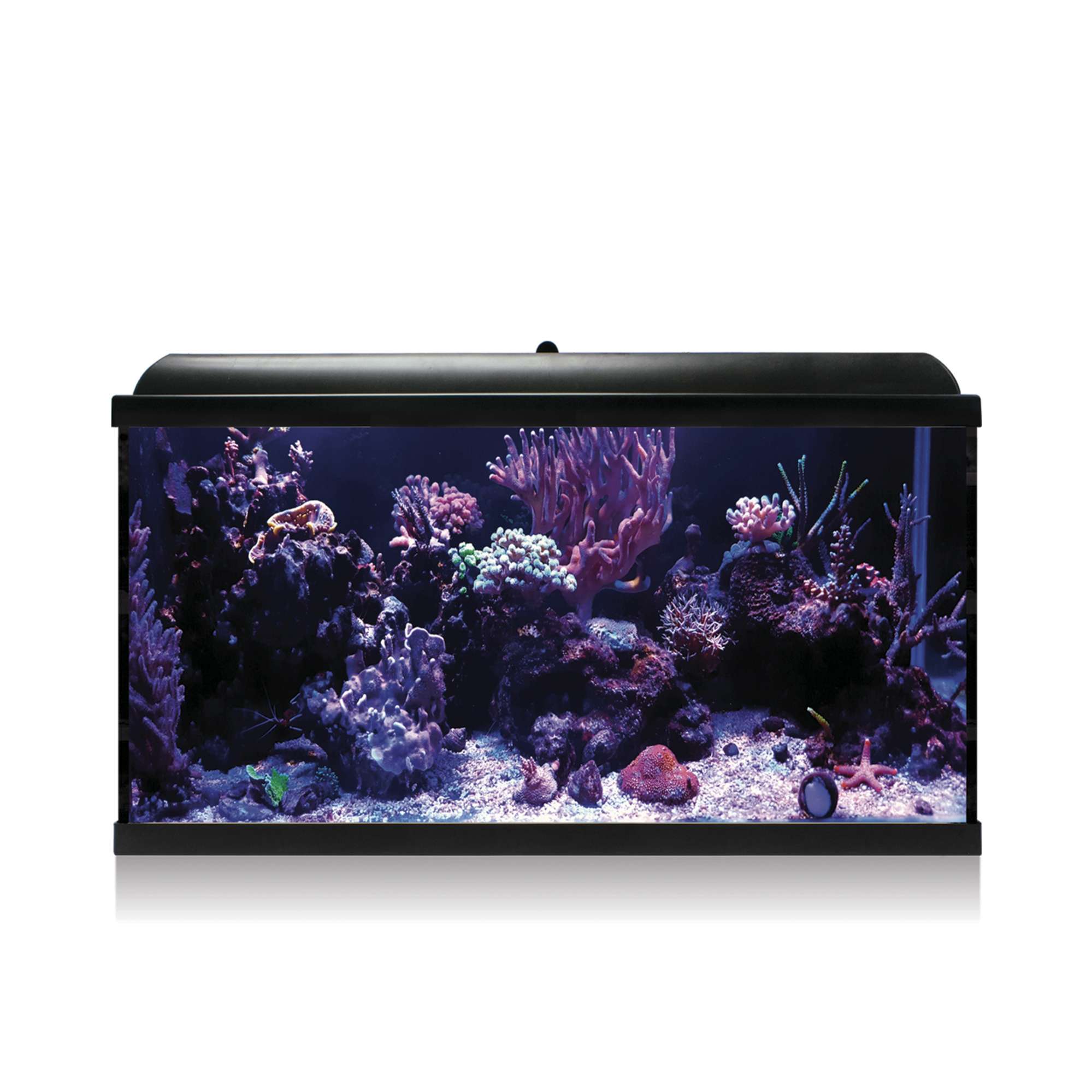 Kit Hydra 100 para agua salada (100 l) — ICA S.A.