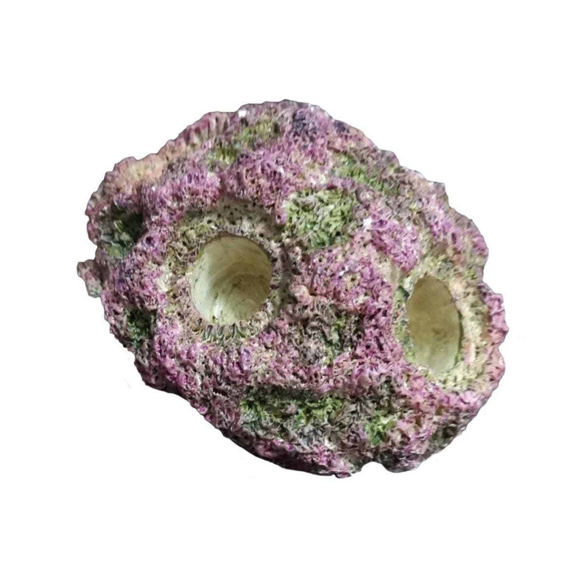 Roca con 4 Coral Plugs AQUA OCEAN — ICA S.A.