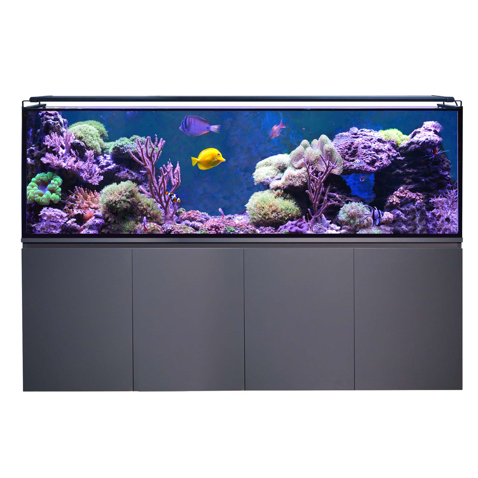 Acuario marino con Sump AQUA OCEAN 200 (555 l) — ICA S.A.