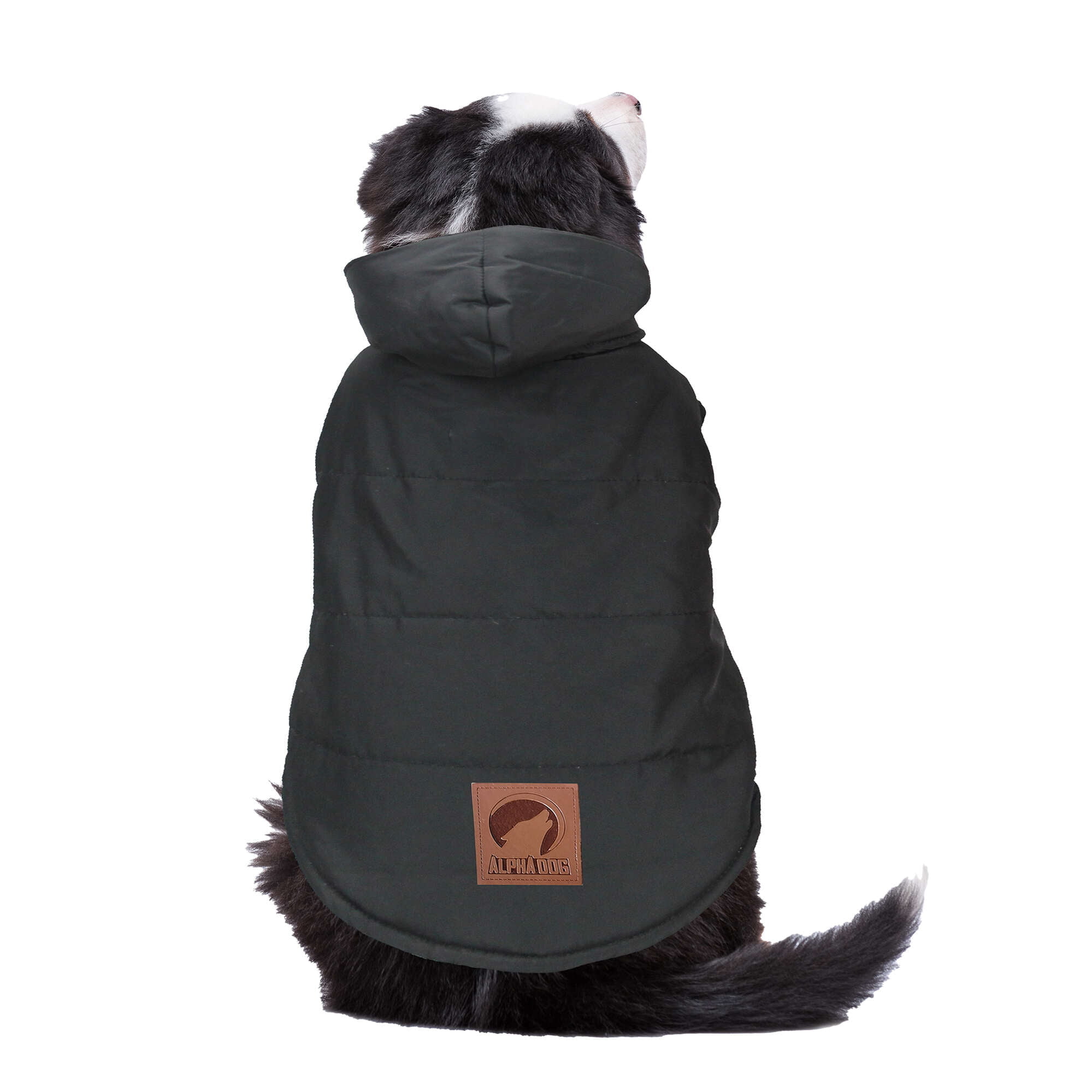 Anorak con capucha negro de ALPHA DOG — ICA S.A.