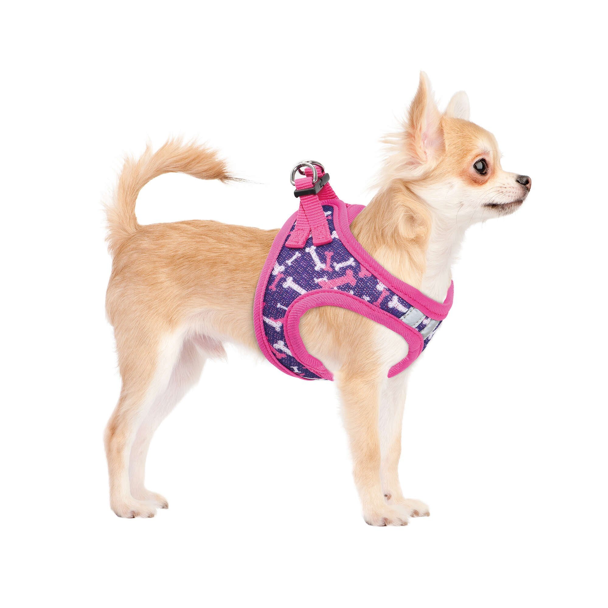 Arnés MESH BONES de XT-DOG — ICA S.A.