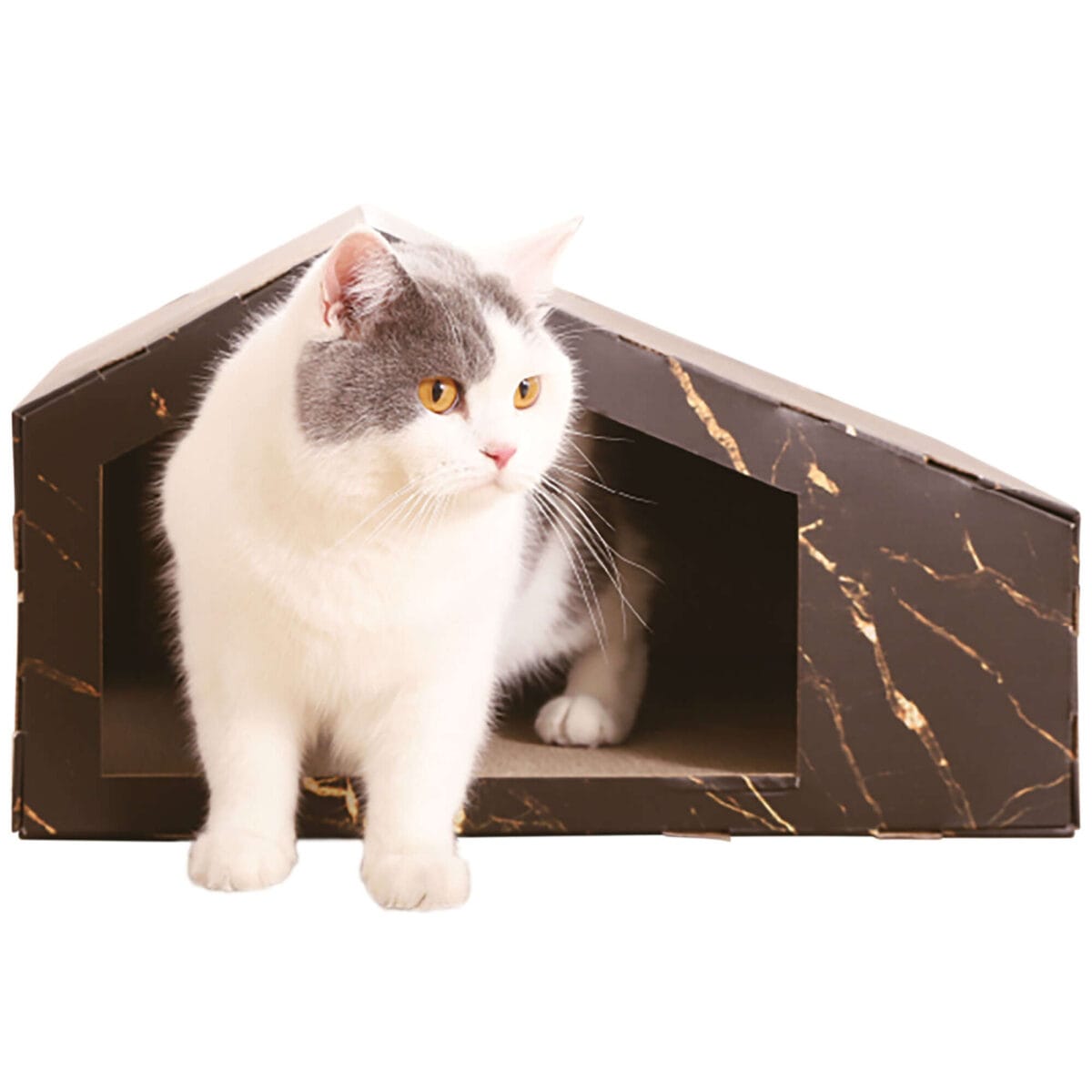 Refugio rascador de cartón Premier CAT (50 cm) — ICA S.A.