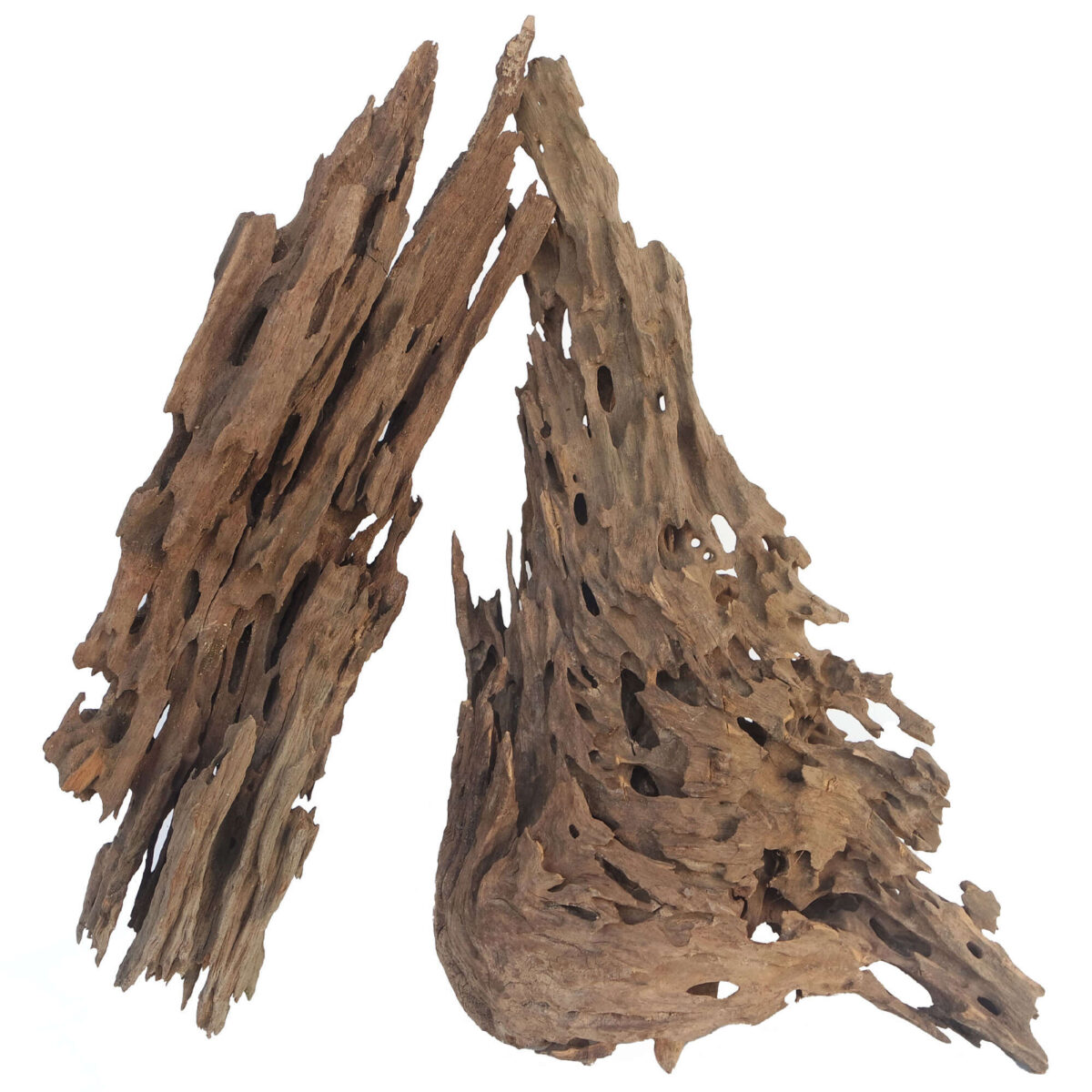 Troncos naturales Dragon Mix (6 kg aprox.) — ICA S.A.